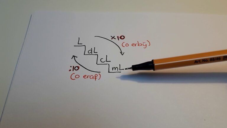 Guía Completa sobre KL HL DAL L DL CL ML: Todo lo que Necesitas Saber ...